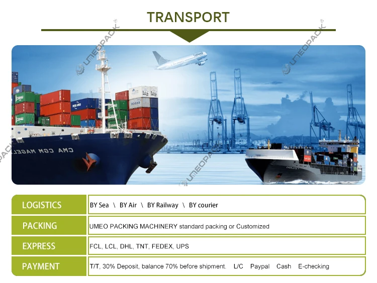 UMEOPACK Semi Auto Vertical Dried Fruit Slice Packing Machine