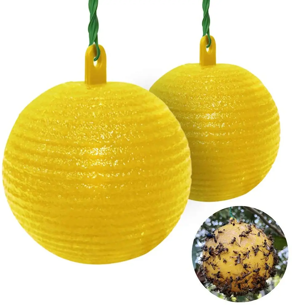 Fruit Fly Trap Ball - Effective Pest Management Solution