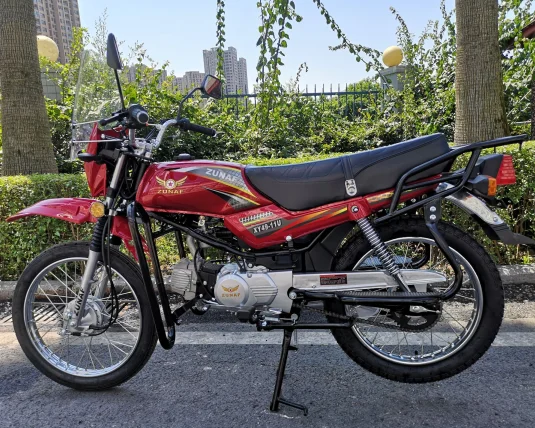 2022 Mini Motorcycle 110cc Cheap Rico Lifo Gas 50cc Street Legal ...