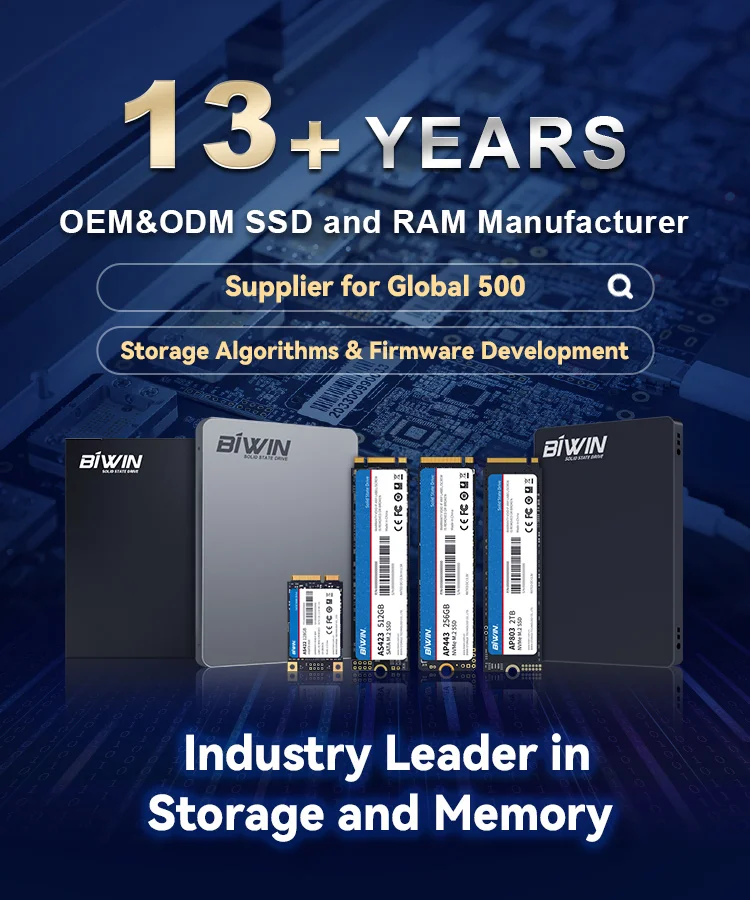 Biwin Msata Ssd 128gb 256gb 512gb 1tb Solid State Drive Efficient And ...