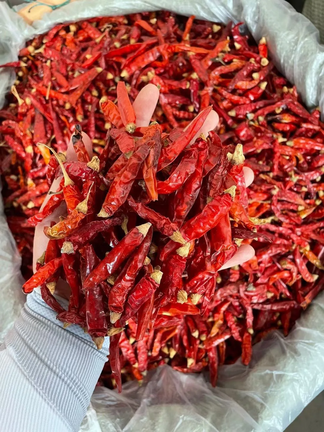 Sfg Mantianxing Millet Pepper Dry Chili Hot Pot Seasoning Raw Material ...