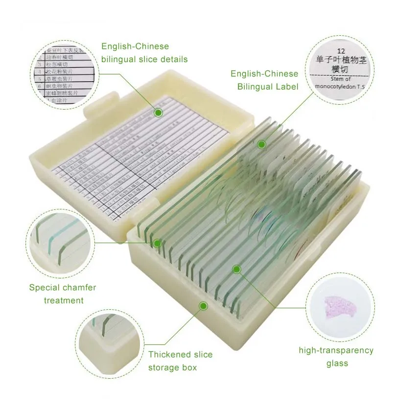 Medical Science Human Histology Slides Microscope Prepared Slides ...