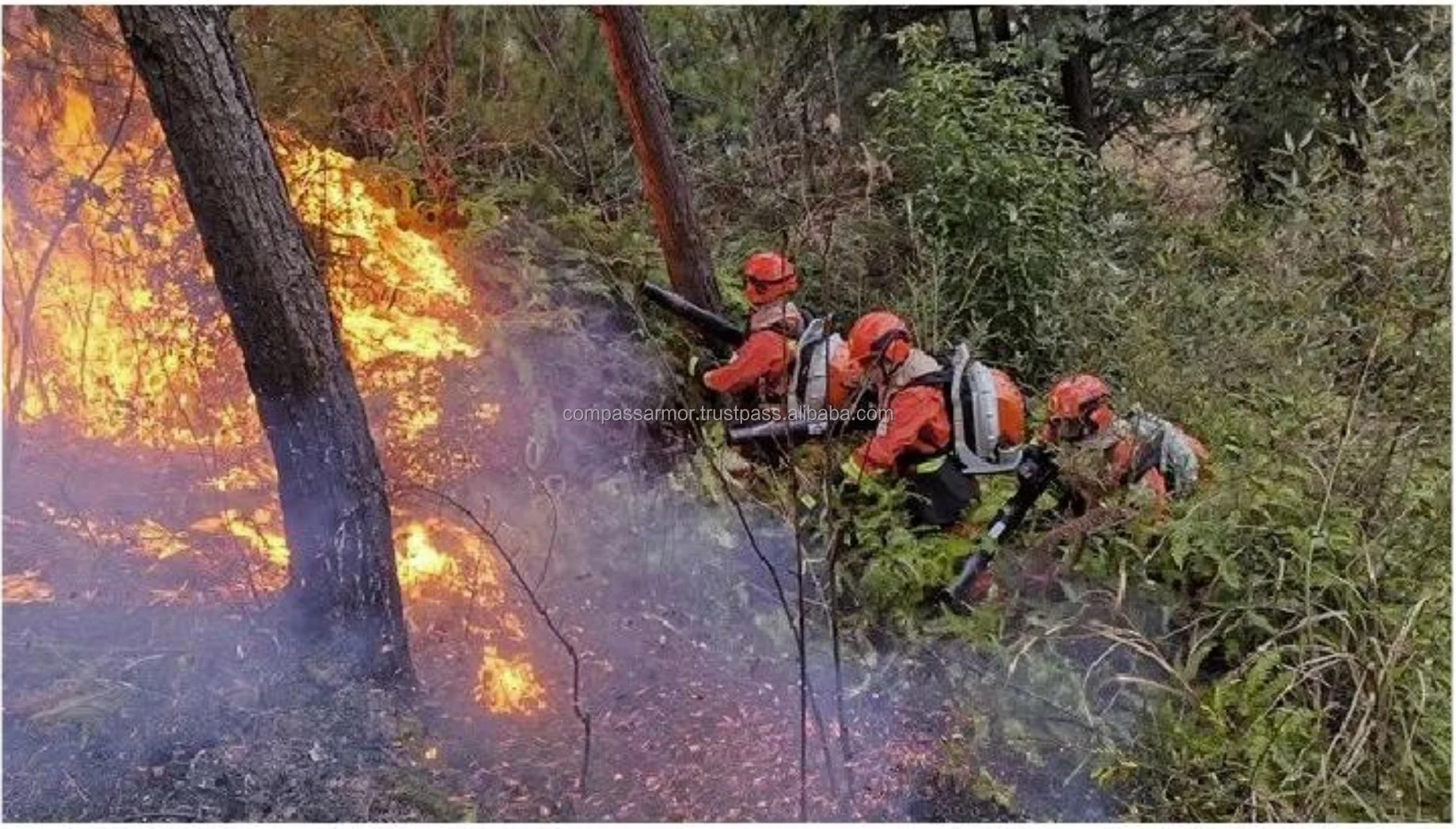 Compassarmor Firefighter Carbon Fiber Shell Helmet Fireman Rescue Red ...