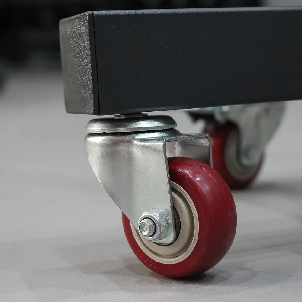 SMARTFIT Vertical Storage Weight Plate Rack Portable Holder With Caster ...