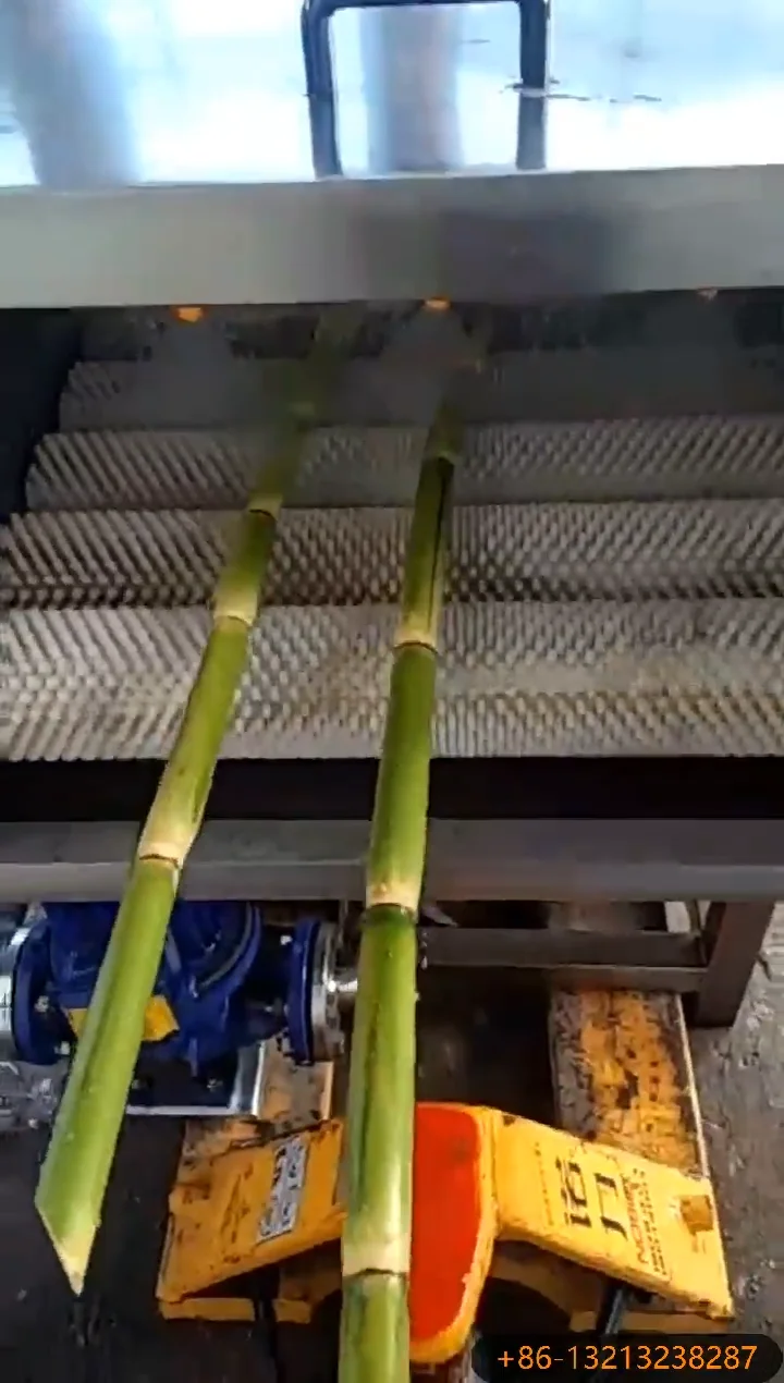Brush Type Sugarcane Washing Machine Sugar Cane Cleaning Machine - Buy ...