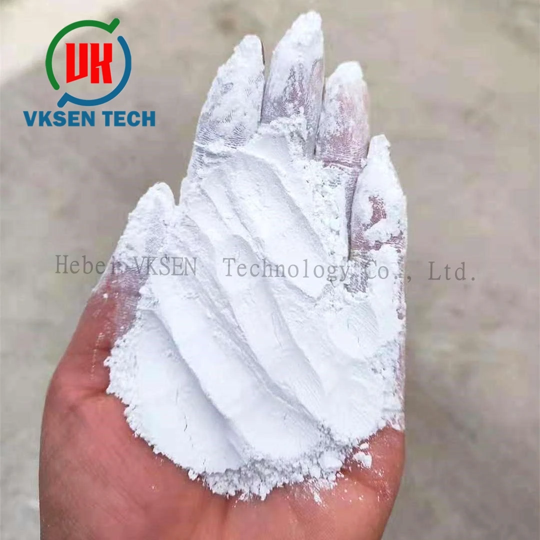 Titanium Dioxide / Tio2 Cas No: 13463-67-7 - Buy Rutile tilac D titania ...