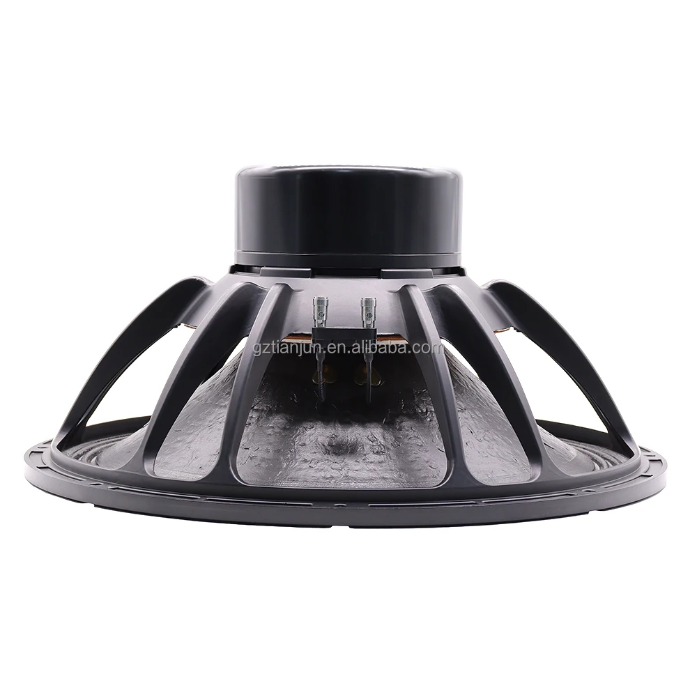 21 Inch Neo Subwoofer - 4000W Pro Audio for Stage & Outdoor