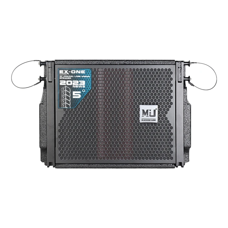 High Quality 10 Inch Neo Coaxial Line Array Sound System