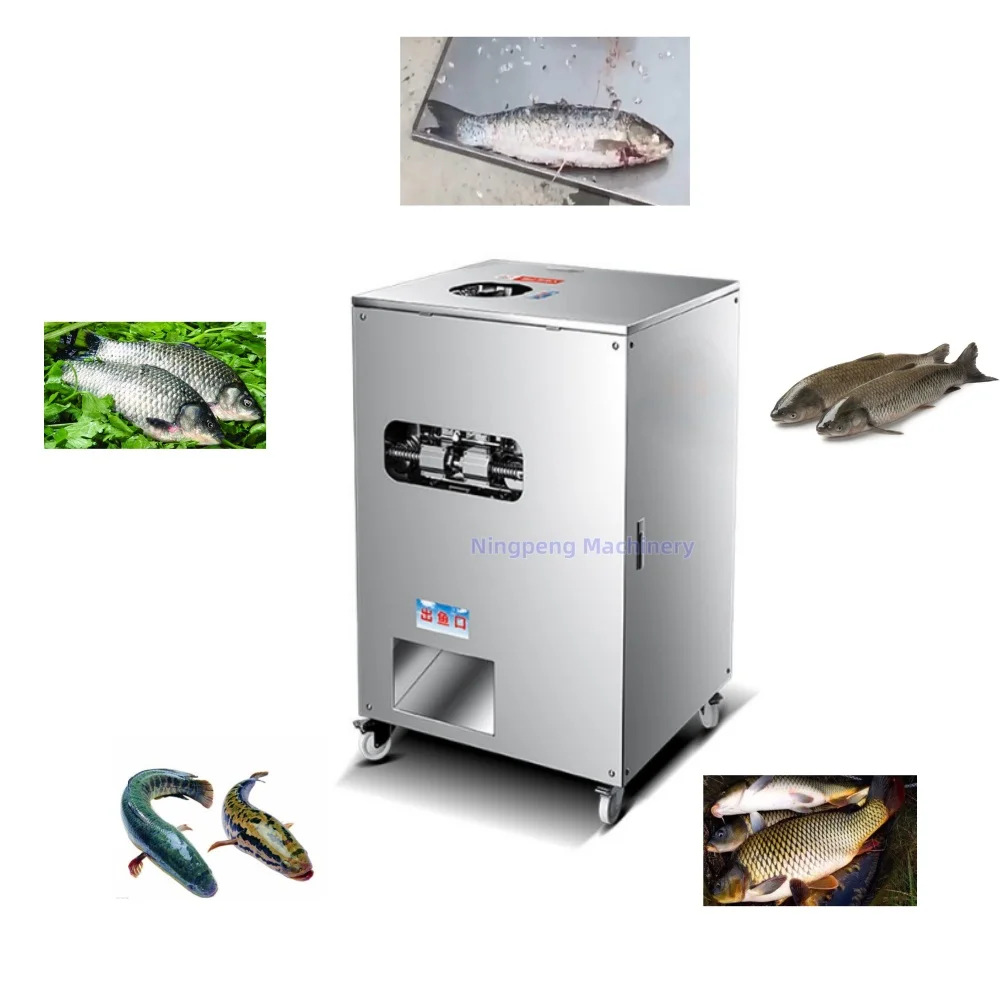 tuna fish killer fully automatic fish killing machine open-back ...