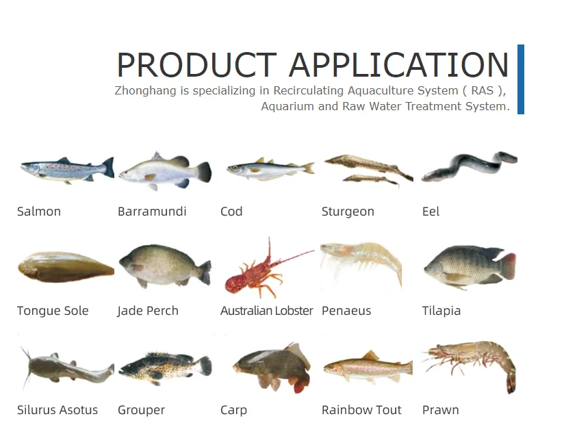 Futi Brand Impeller Aerator - Buy Impeller,Aerator For Fish,Aerator ...