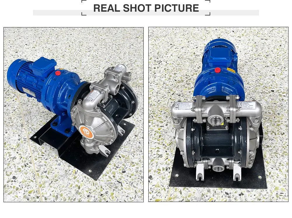 BFD-25P 1'' Stainless Steel Electric Diaphragm Pump_BFD_Electric Operated Diaphragm Pumps_GODO PUMPS