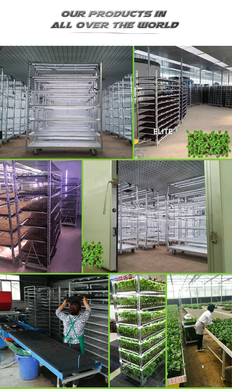 122 Seedling Cart - Durable & Versatile Solutions for Nurseries