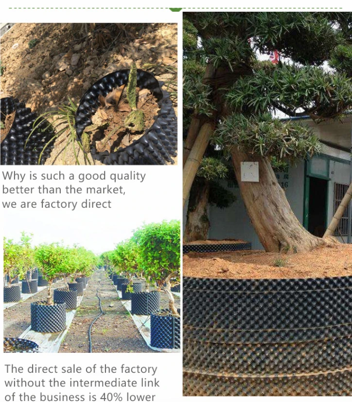 Air Pruning Plant Root Growth Container Pot Air Controlled Root Pot ...