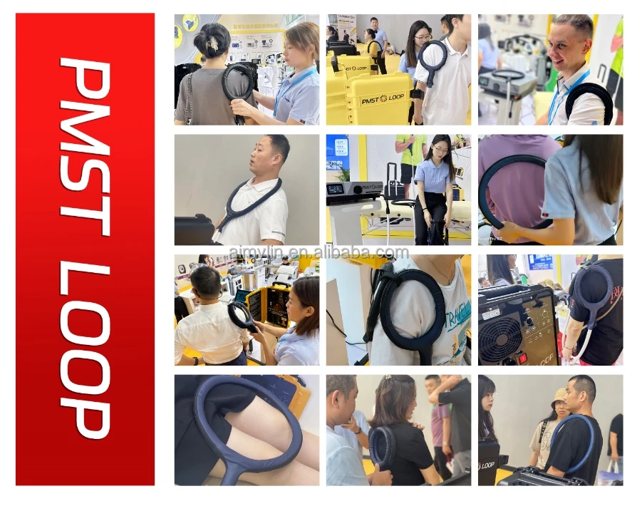 Magnetic PEMF Therapy Device for Horses - Equine Wellness