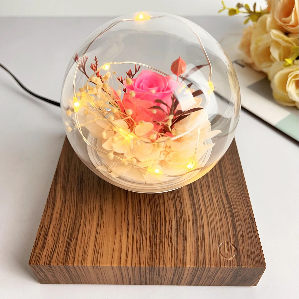 Hcnt Magnetic Levitating Lamp Led Bulb Preserved Flower Real Rose ...