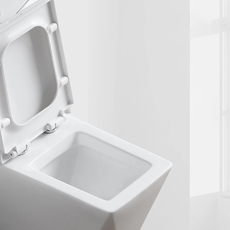 Modern Dual Flush One Piece Ceramic WC Toilet - S-Trap P-trap