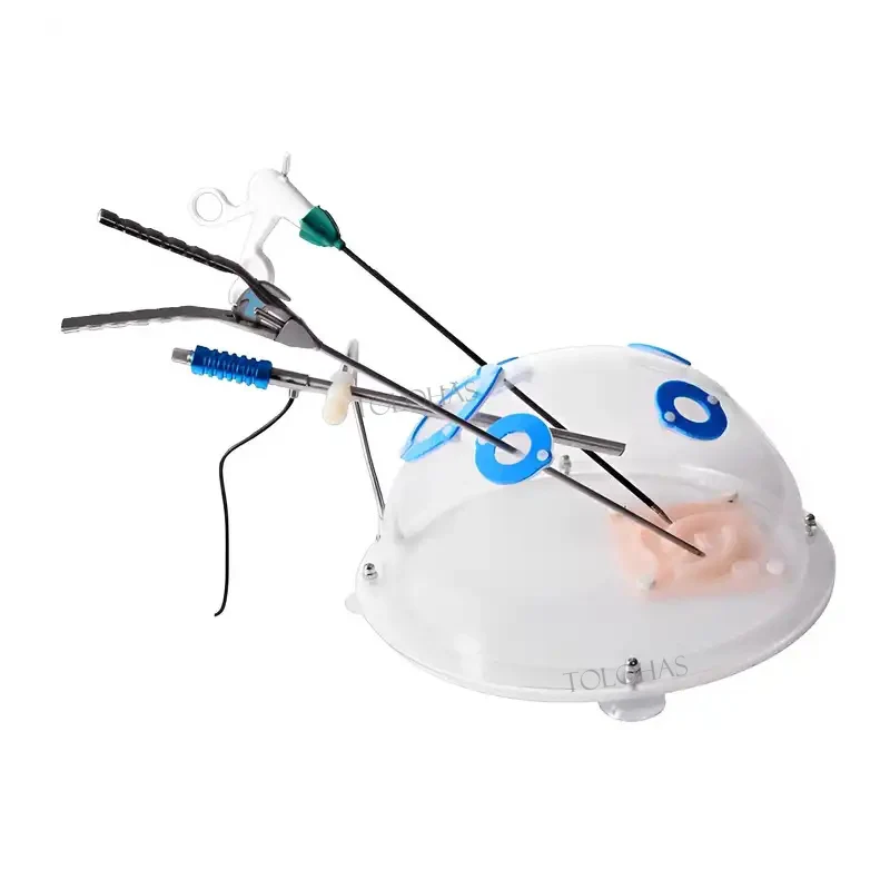 LHPLS1 Medical Science Hemispherical Laparoscopic Simulator Endoscope ...
