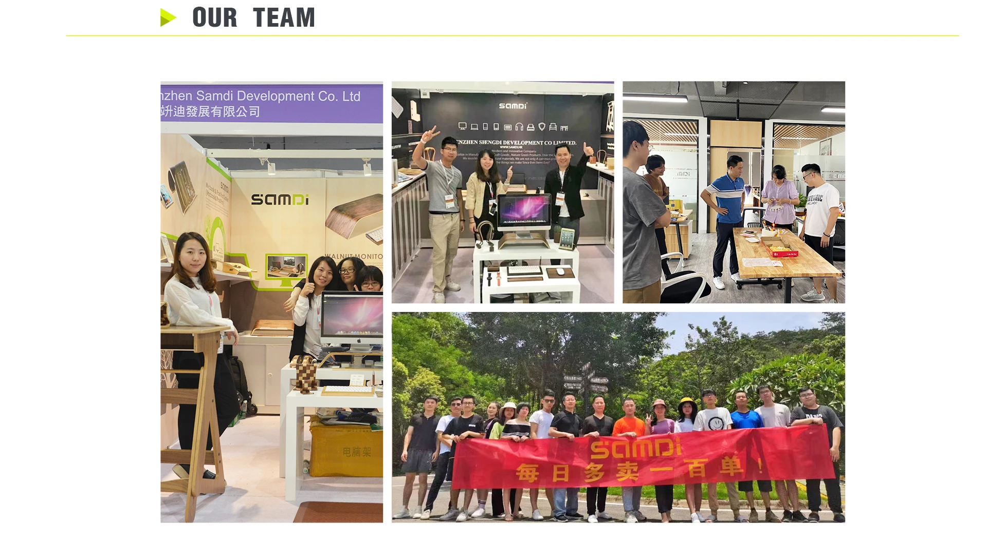 Company Overview - Shenzhen Shengdi Development Co., Ltd.