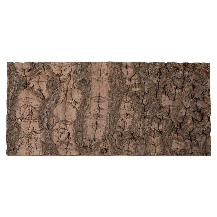 Reptizoo Cork Bark Terrarium Background Vivarium Background Chameleon ...