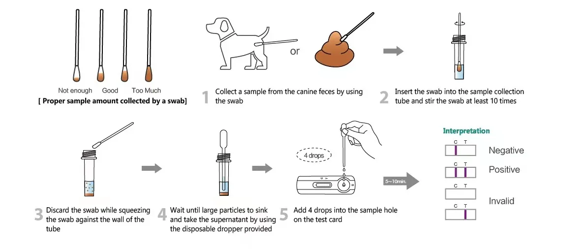 Bargain Veterinary Pruebas Pet Lab Combined CPV +CCV + GIARDIA a Pet ...