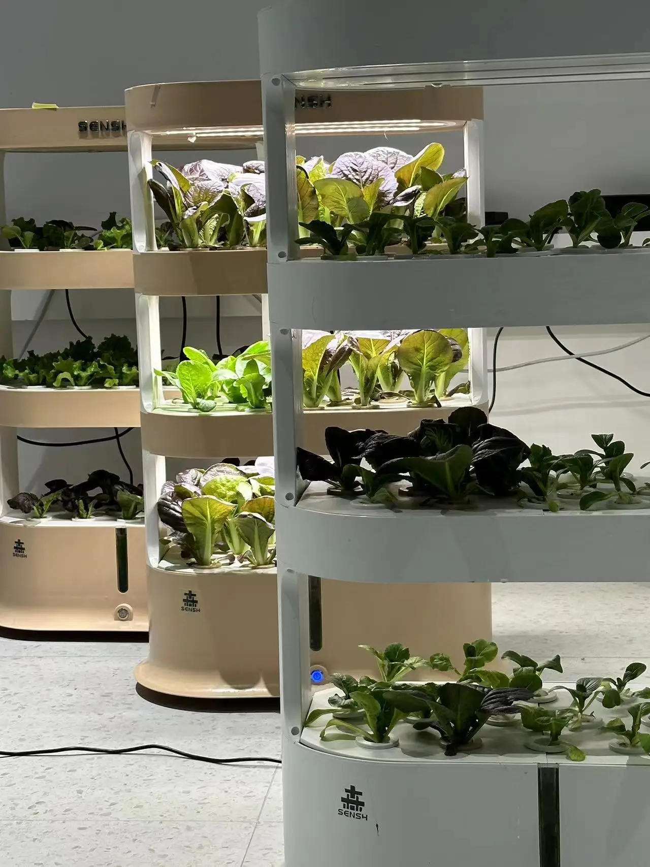 Modular Hydroponic System with Remote Control for Indoor Hydroponic ...