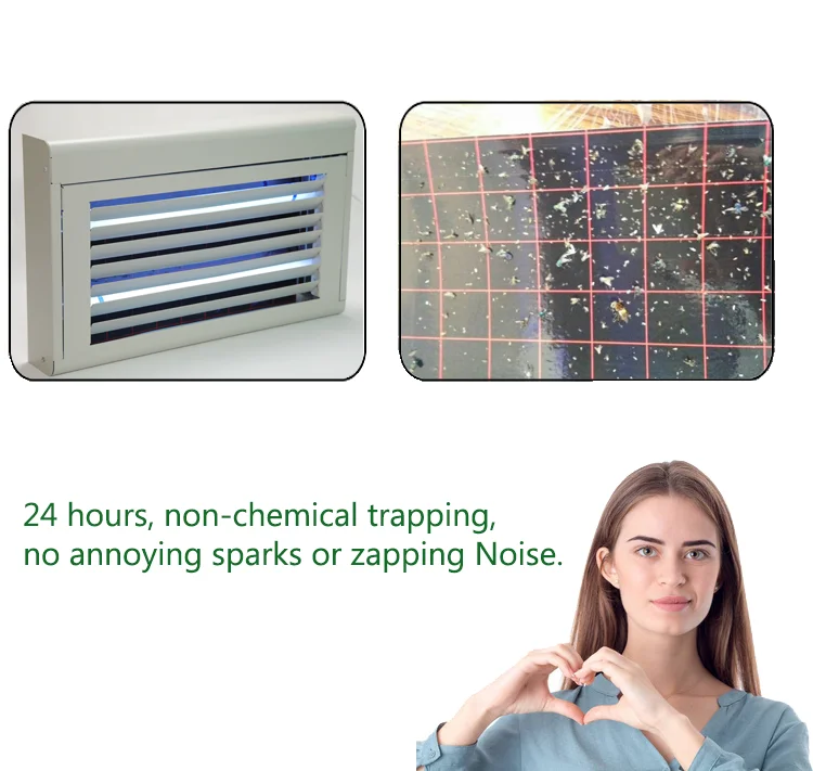 High Quality Units Professional Sticky Traps Fly Light Trap