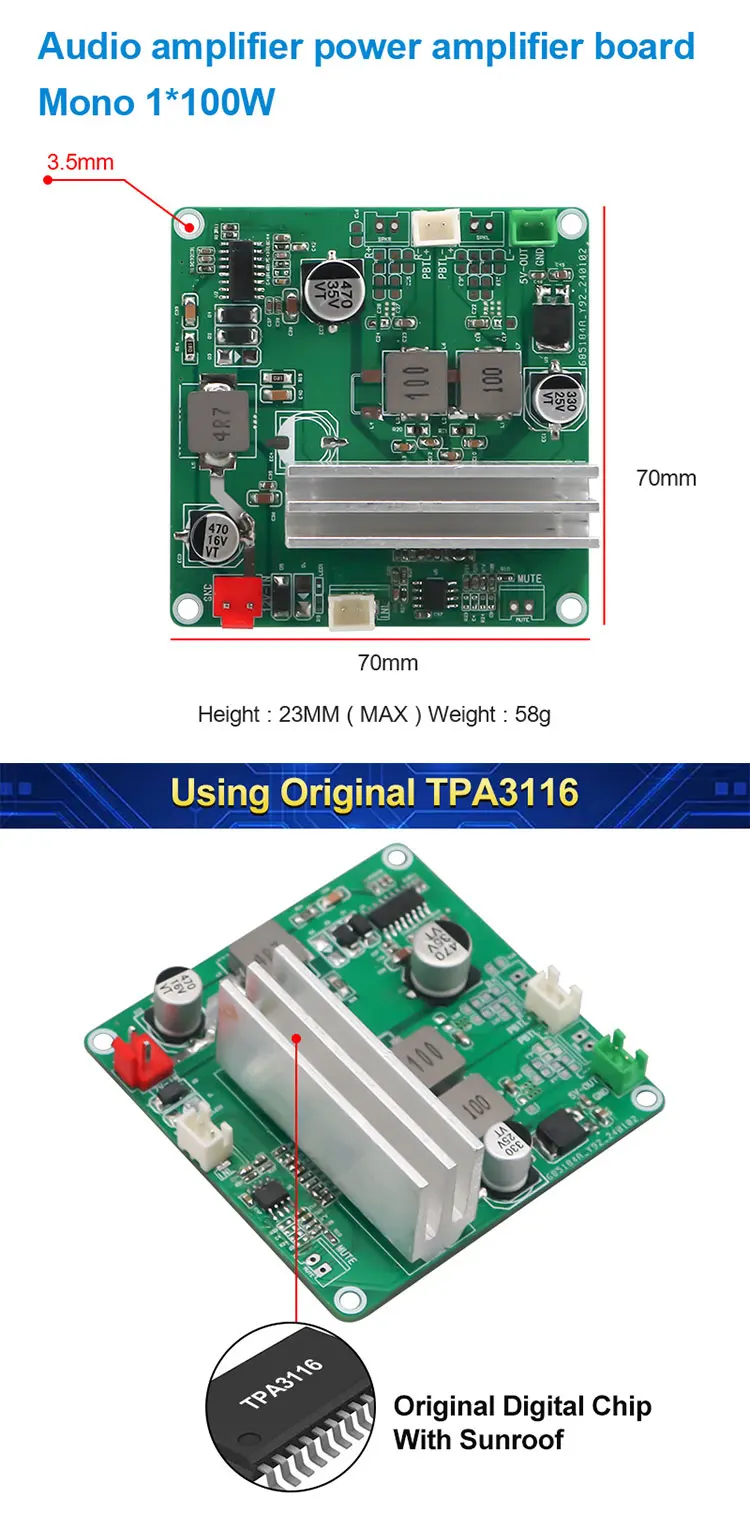 VIRE 100W TPA3116D2 Amplifier Full Frequency Mono Channel Digital Power ...