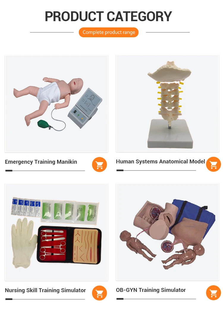 Pro-hy Episiotomy Suturing Pad,Perineal Incision Suture Practice Model ...