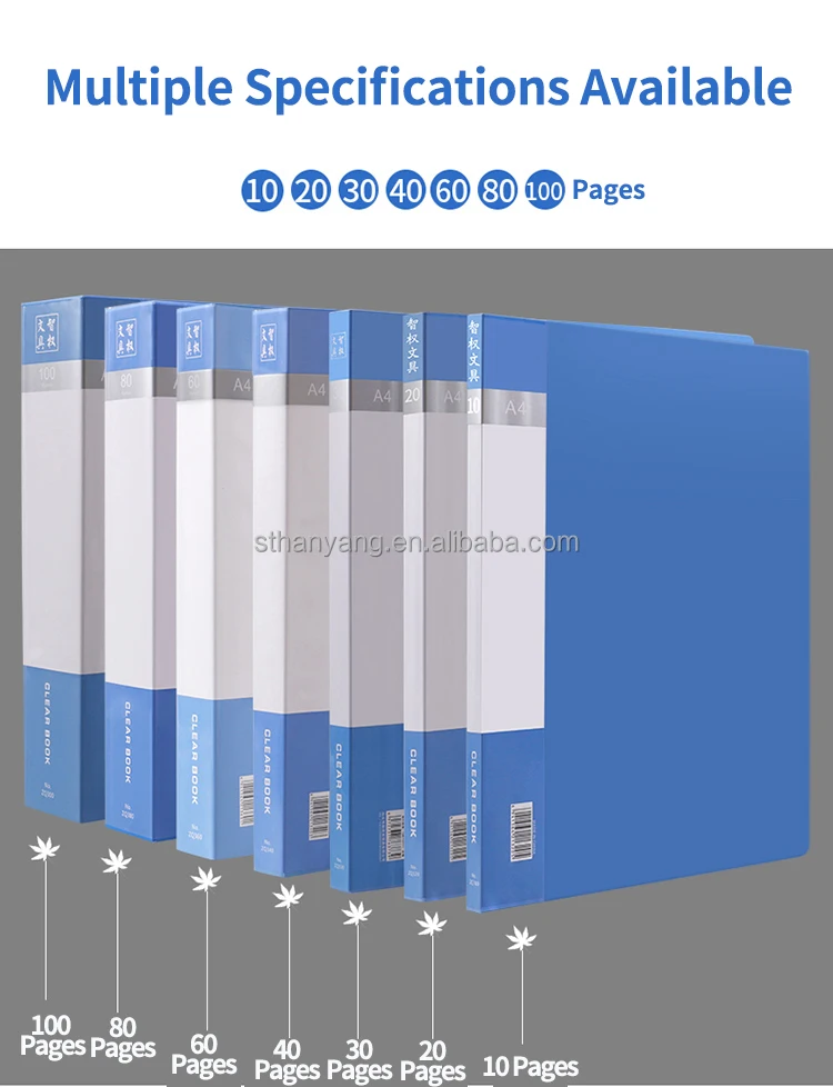 Transparent A4 Display Clearbook - Durable & Versatile