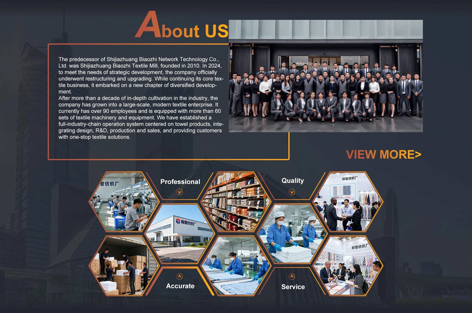 Company Overview - Shijiazhuang Biaozhi Network Technology Co., Ltd.
