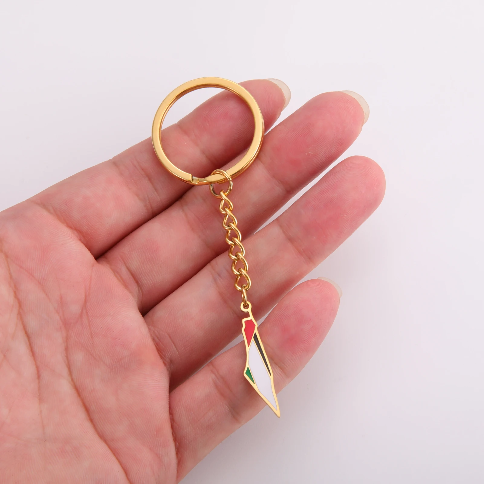 Palestine Stainless Steel Key Chain Country Flag and Geography Key Ring ...