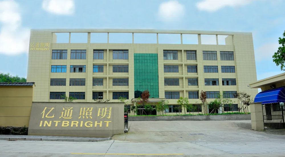 Professional Watchmakers Tools Lamp With 3x 5x Magnifying Glass Watch ...