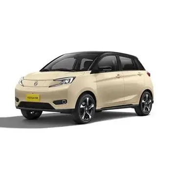 2023 Evh-young Version New Energy Pure Electric Cars Artificial ...