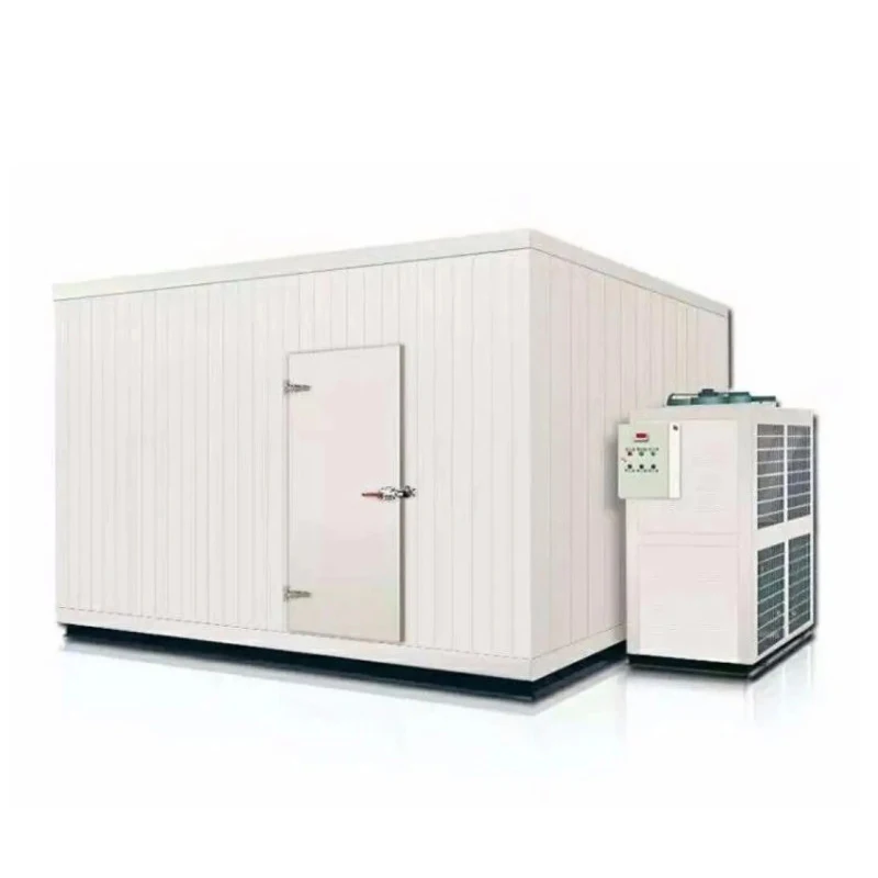 45c Freezing Chamber - Efficient Cold Storage Solutions
