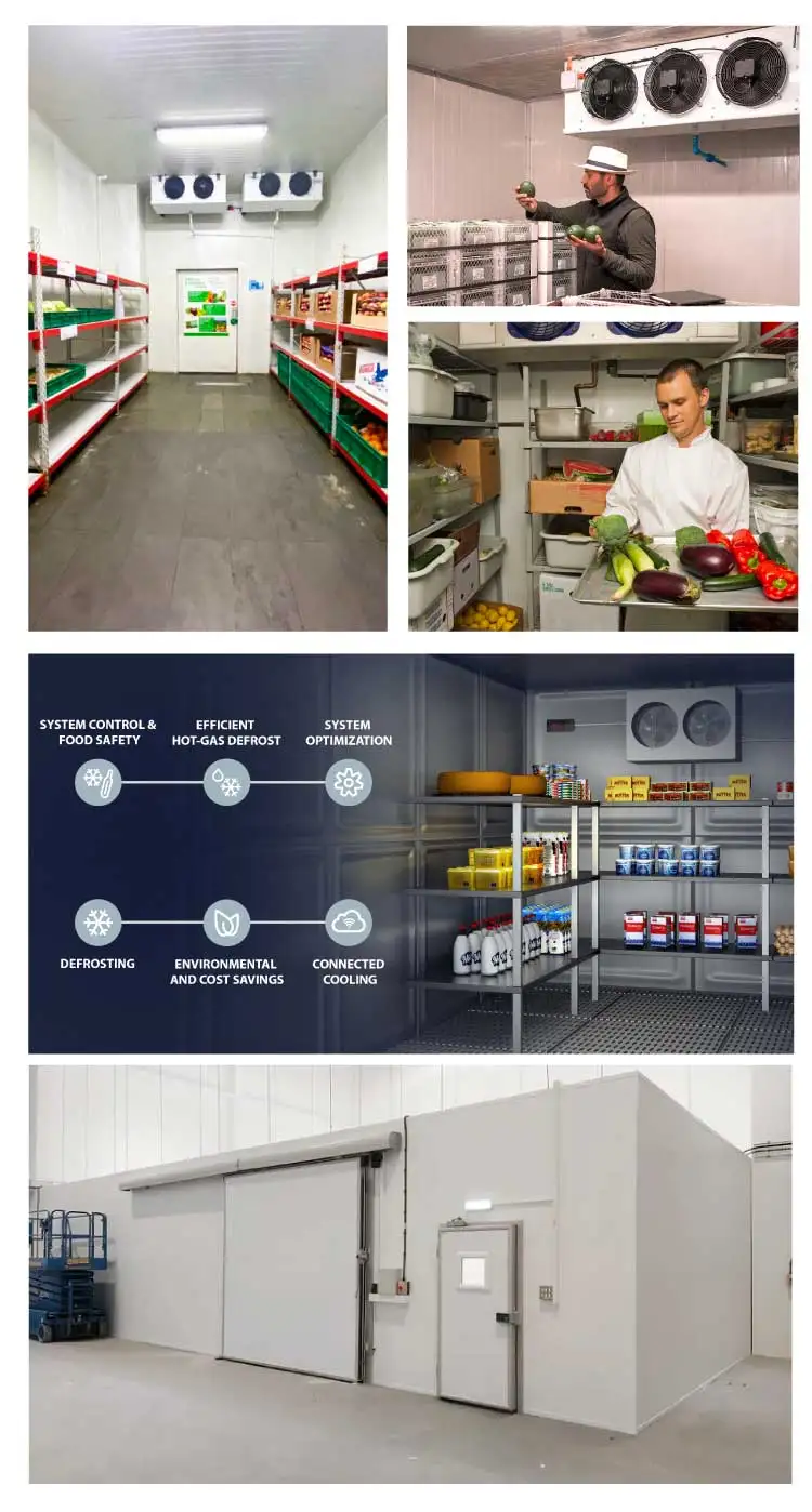 Remote Control Cold Storage Room Freezer Walk In Freezer Freezer Room ...