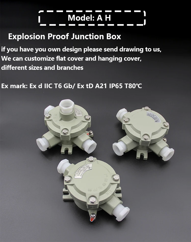 IP65 Explosion Proof Terminal Junction Box - 1 Way 2ways 3ways Flat
