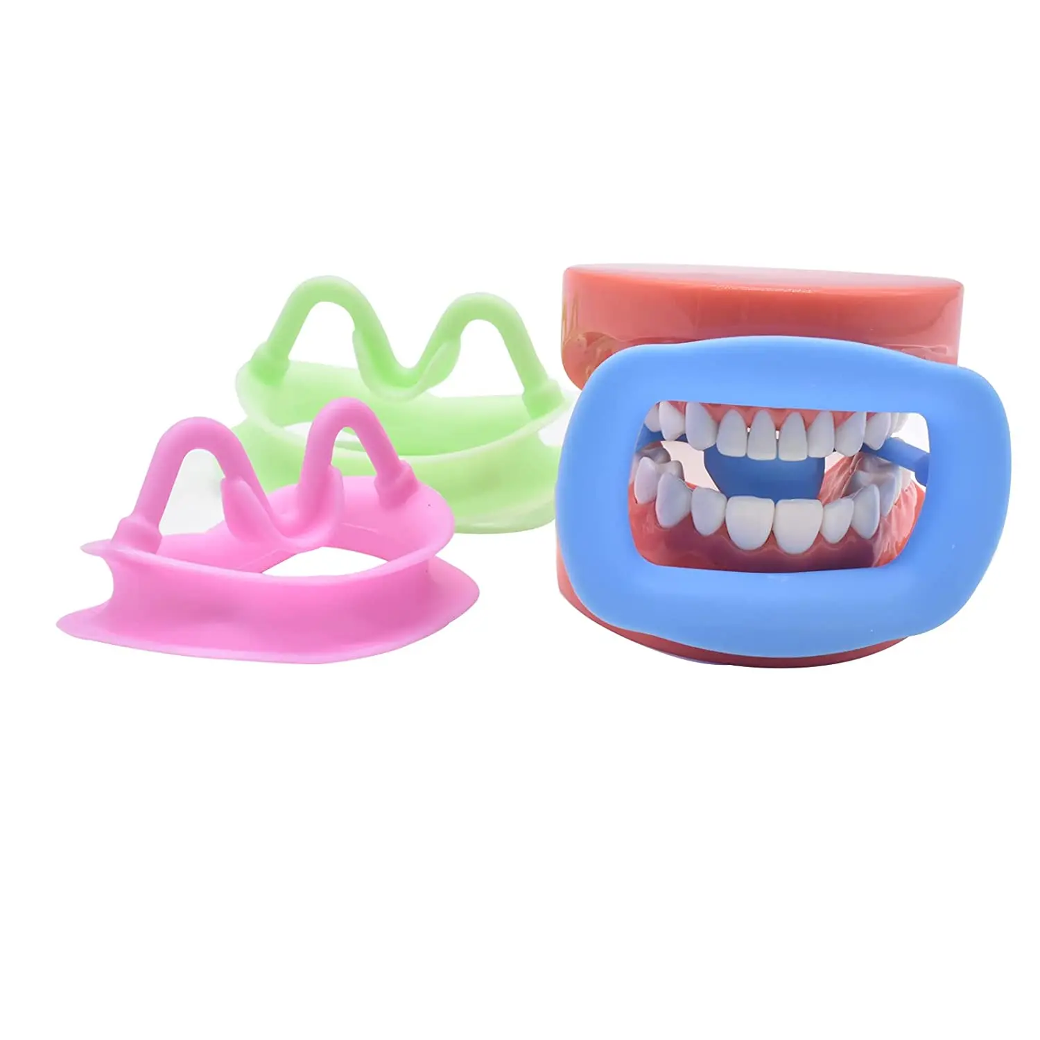 Dental Cheek Retractor - Safe and Comfortable Teeth Whitening