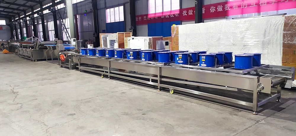 Complete 500kgs Mango Pulp Washing Sorting Machine Pineapple Peeling ...