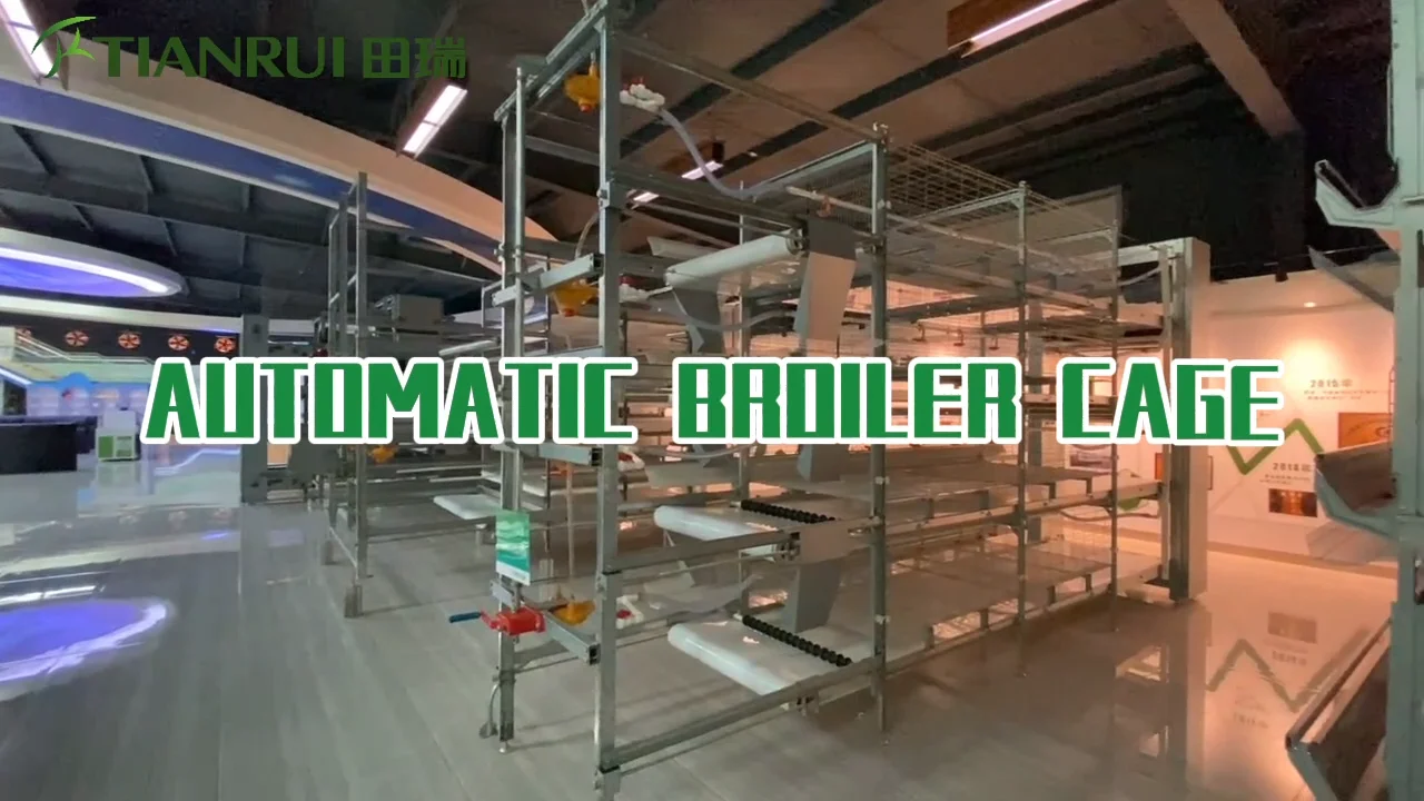 Broiler Poultry Farming Equipment Design Modern House Galvanized H Type ...