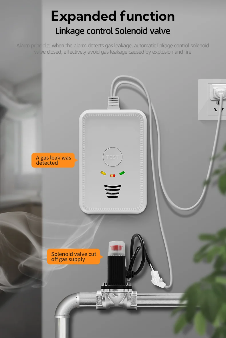 Fire Alarm Combustible Lpg Leak Detector De Gas Natural With Solenoid Valve Gas Detector - Buy ...