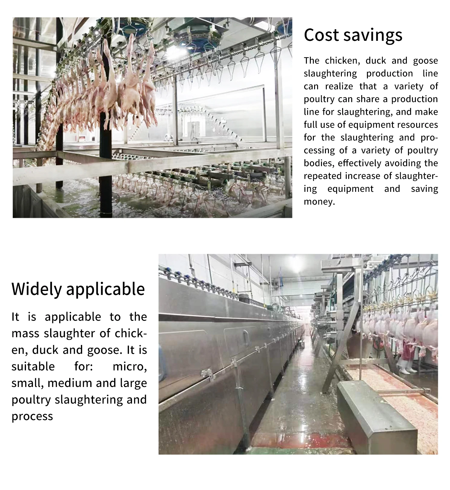 Tca High Quality Automatic Chicken Processing Plant Poultry ...