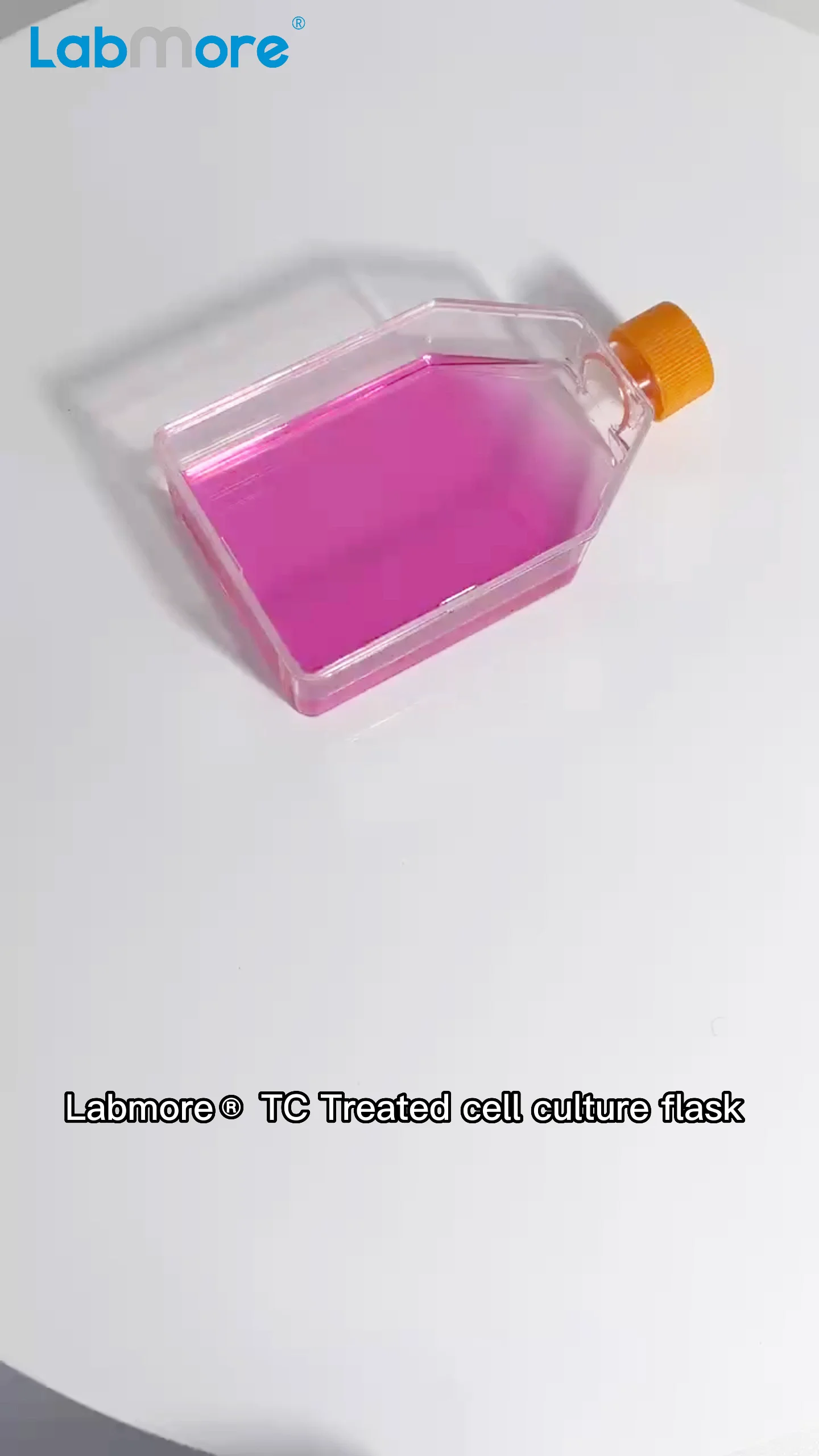 75cm2 Tc Treated Vented Cell Culture Flask For Laboratory Cell Culture ...