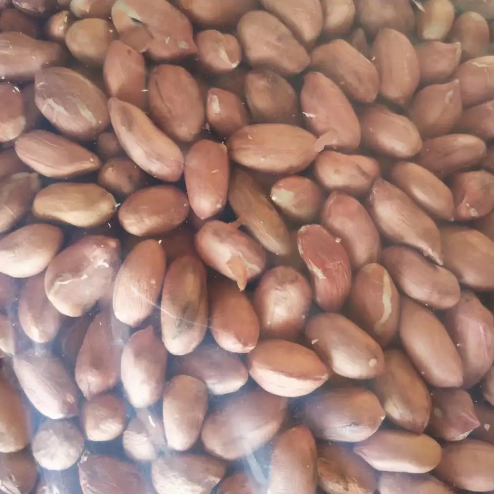Raw Peanuts, Peanut, Roasted, Raw Ground Nuts - NIHEWAN