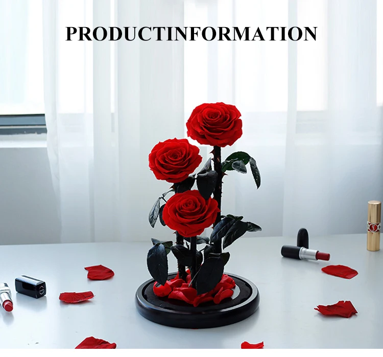 Real Natural Long Life Lasting Everlasting Immortal Forever Eternal ...