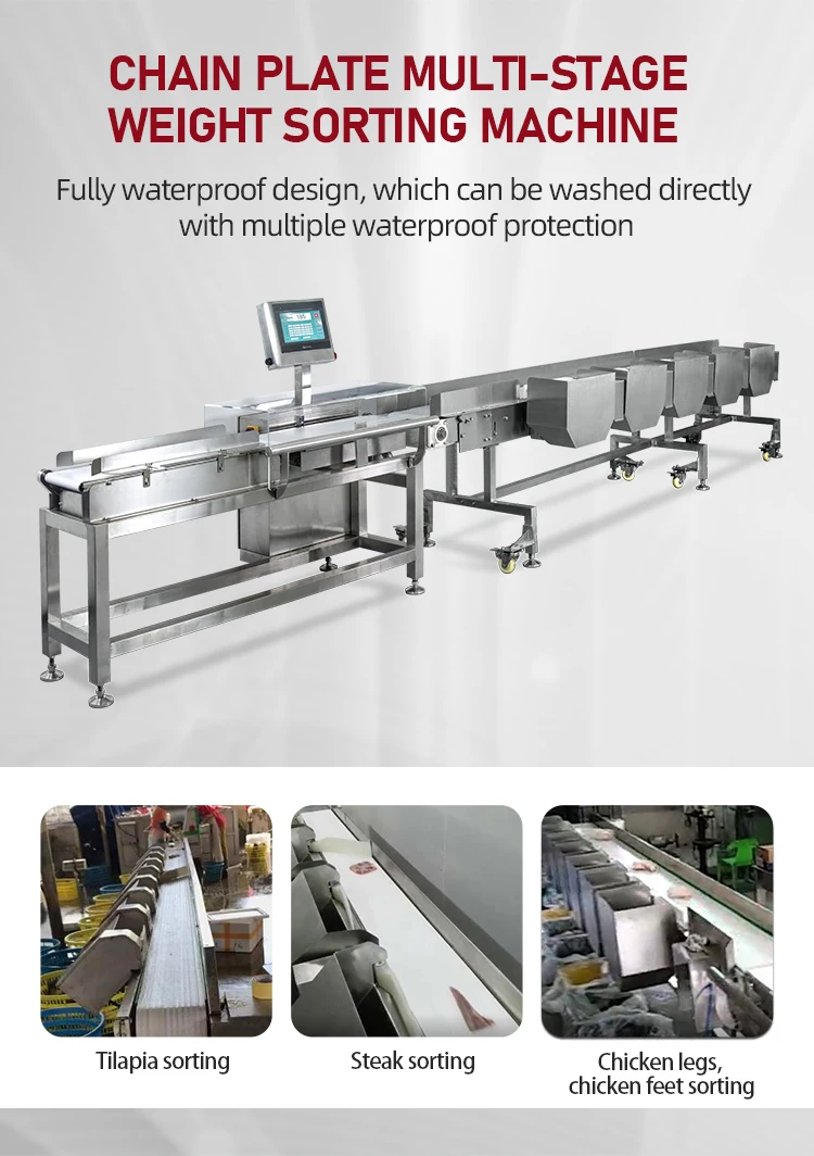 Automatic Aquaculture Sorting Sieve for Efficient Fish Grading