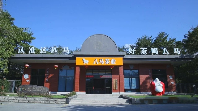 Company Overview - Bama Tea Co., Ltd.