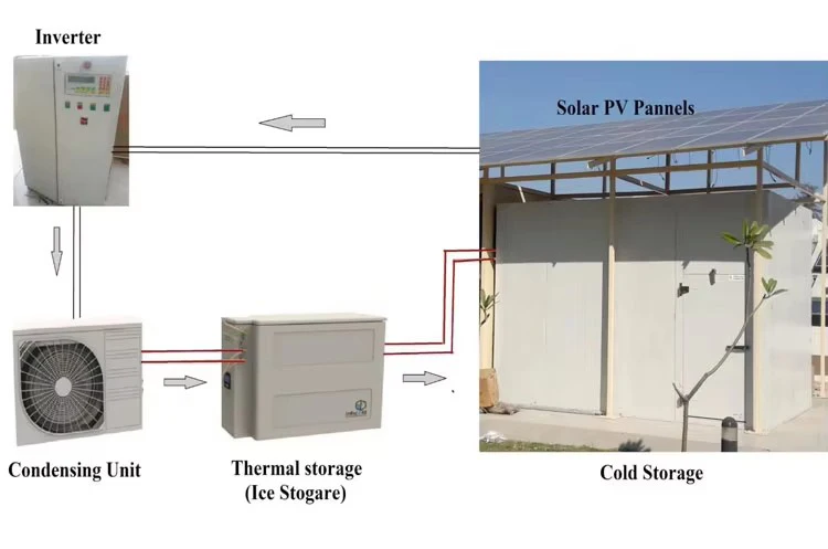 Cold Storage Solutions - Efficient Meat & Vegetable Preservation
