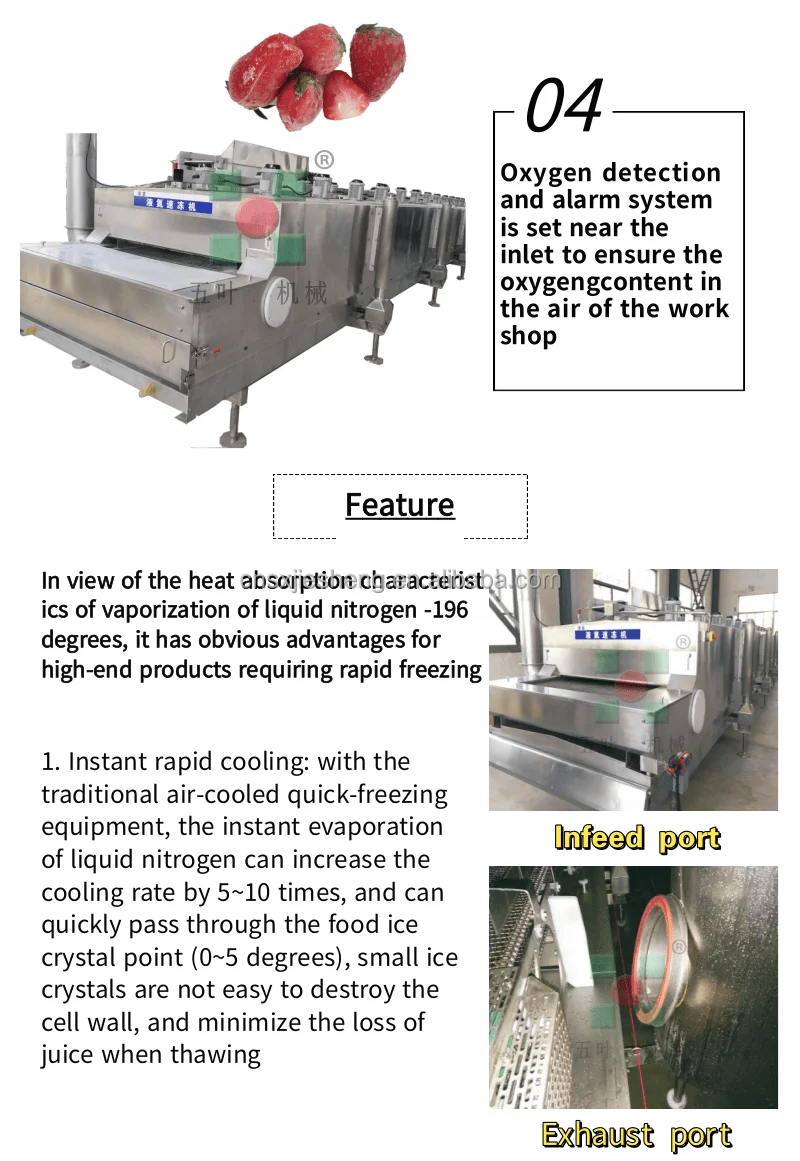 Automatic Fluidized Bed Liquid Nitrogen Blast IQF Tunnel Freezer for ...