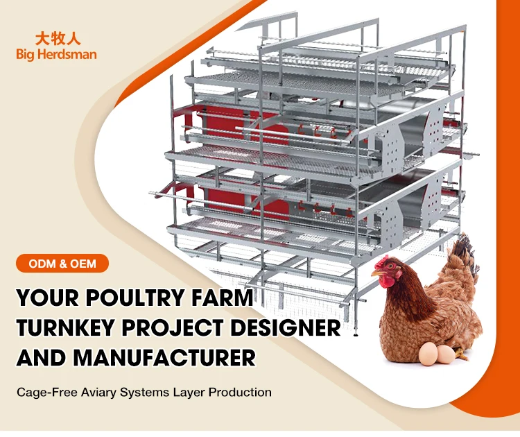 Aviary System for Hen Laying - Free Range & Easy Maintenance