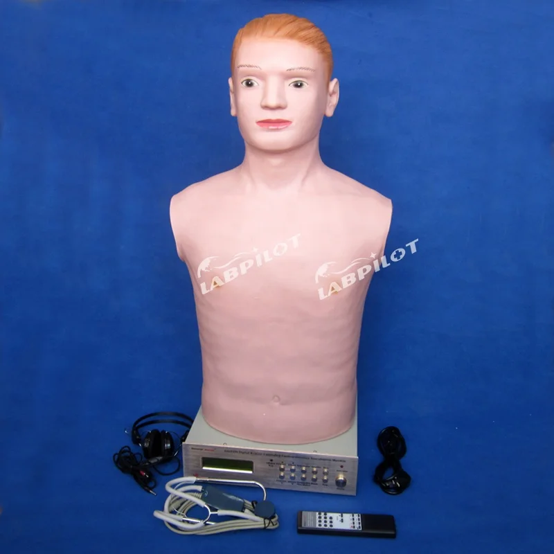 Chest Cardiopulmonary Auscultation Simulator - Labpilot LP/Z990